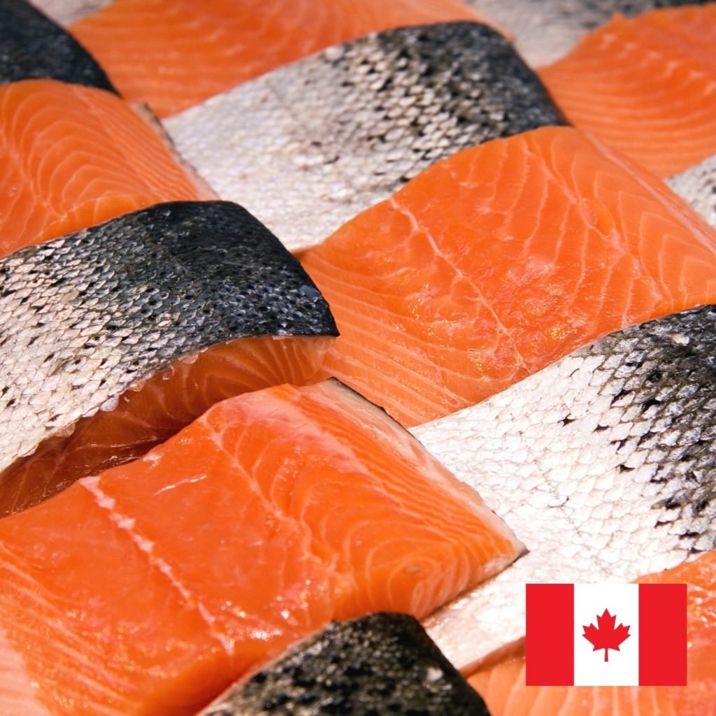 Canadian Farmed Atlantic Salmon – Ifish Hong Kong