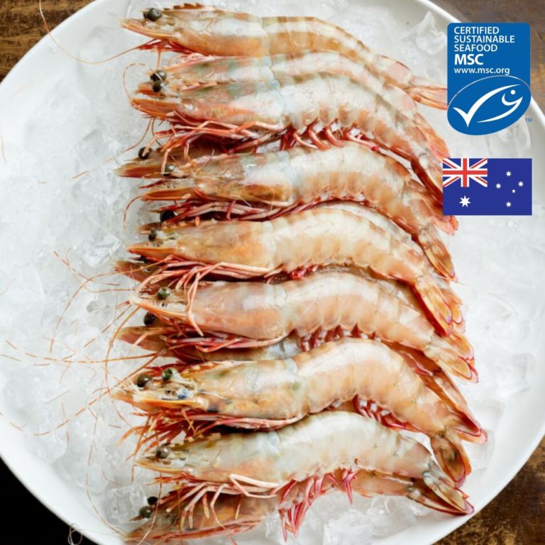 Australian (Skull Island) Tiger Prawn – Ifish