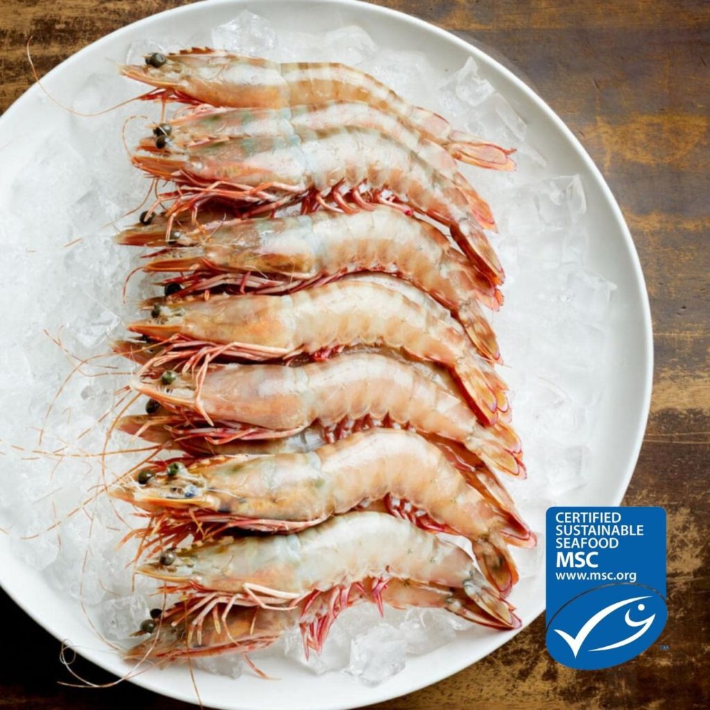Seaport Australian Tiger prawn – Ifish Hong Kong