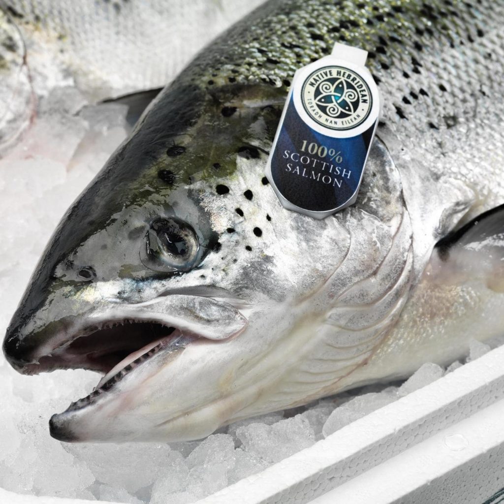Chilean Farmed Atlantic Salmon – Ifish Hong Kong