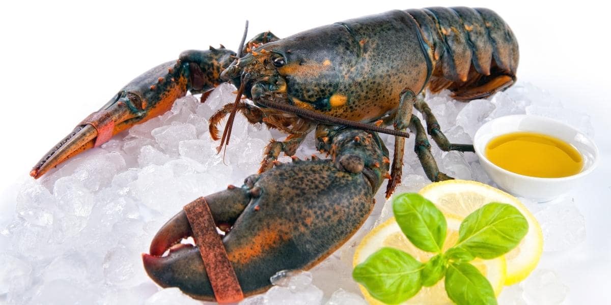 Top 10 Healthy Fish And Seafood To Eat – Ifish Hong Kong